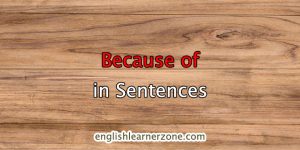 Can I Start a Sentence with Because? 10 Good Examples – English Learner ...